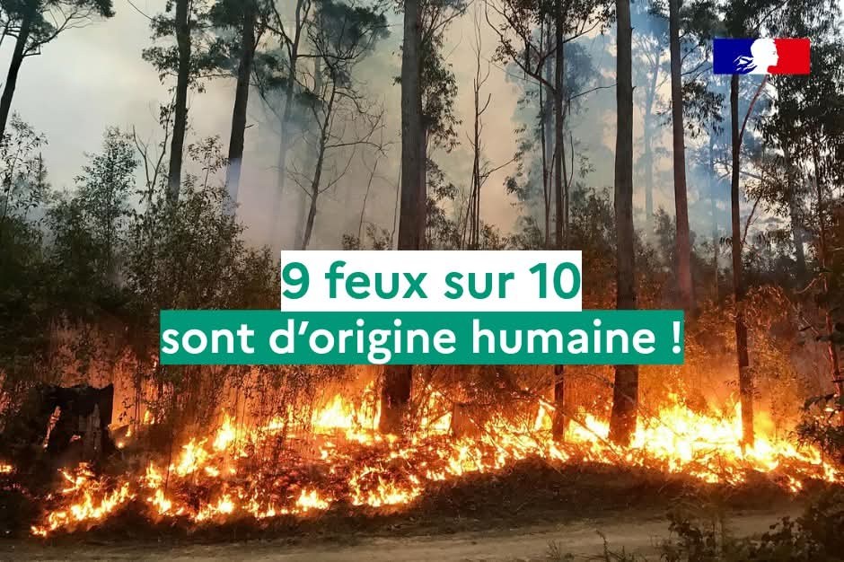 Niveau de risque "incendie de forêt" élevé - Erdre-en-Anjou
